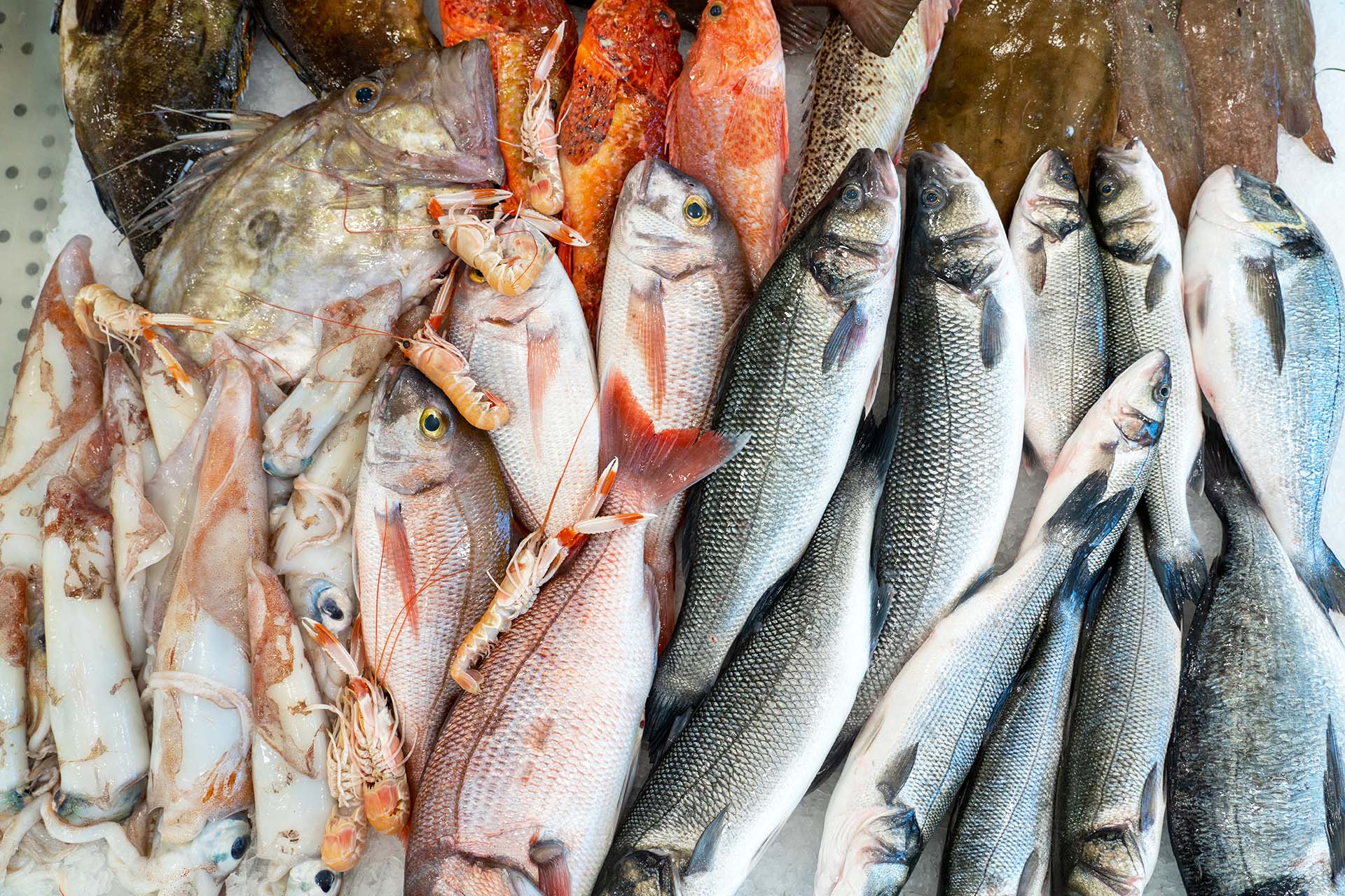 Pescheria Bella - dal 1972 a Scoglitti